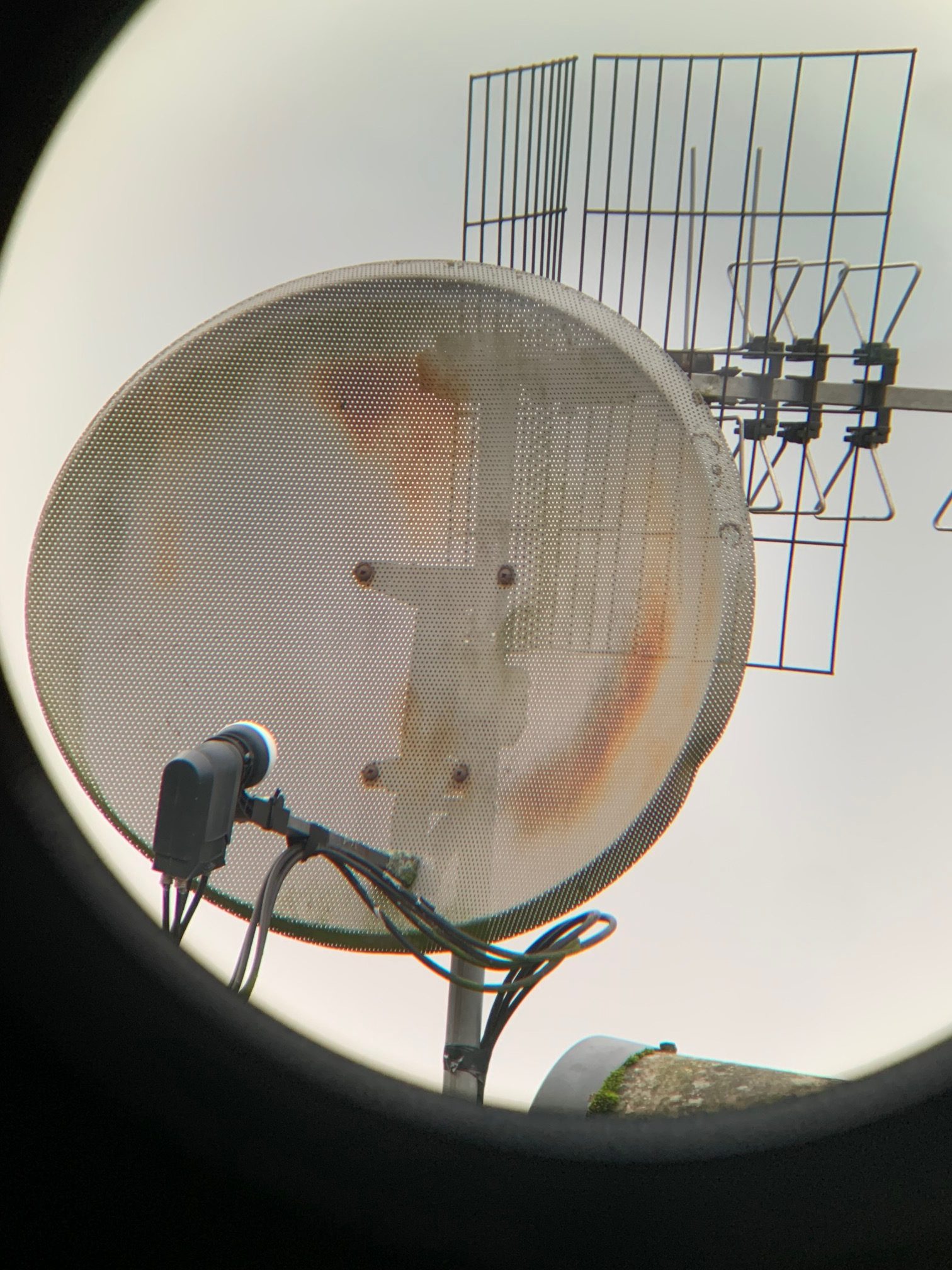 Product Review: The Svbony SA401 25x-75x 100mm APO Spotting Scope ...